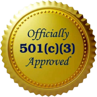 Donate – SUBVERS!VE Foundation